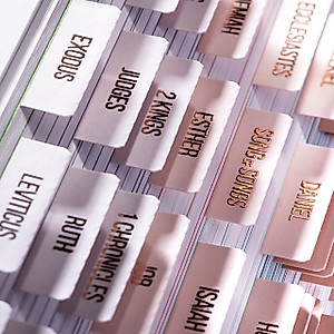 DiverseBee Laminated Bible Tabs (Rose Gold Embossed Lettering), Bible Journaling Supplies, Bible Book Tabs, Christian Gift, 66 Bible Tabs Old and New Testament, Includes 11 Blank Tabs (Pearl)