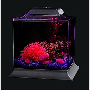 Koller Products 1.5-Gallon AquaScene Aquarium with LED Lighting