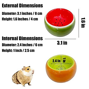 Bangminda 3Pcs Hamster Bowl Ceramic Small Animal Water Bowl Prevent Tipping Anti-Bite Ceramic Feeding Bowls for Guinea Pig Gerbil Ferret Syrian Hamster Chinchilla Rat Hedgehog Bunny