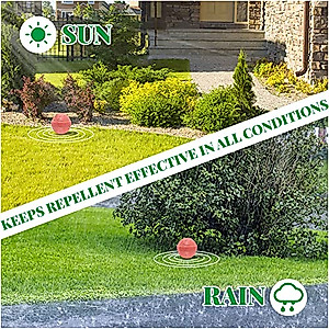 12 Pcs Natural Mouse Repellent Peppermint Oil to Repel Mice and Rats, Rodent Repeller for Car Engines Home Kitchen Indoor Outdoor,Keep Moles & Voles Out of Your Lawn and Garden, Pet Safe