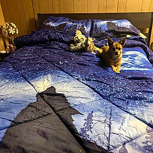 ENCOFT Wolf Comforter Set Queen Size, 3 Piece Vivid Blue Night Sky Howling Wolf Bedding Comforter Sets with 2 Pillowcases, Lightweight Soft Wild Animal Wolf Comforter Set for Kids, Boys, Teen