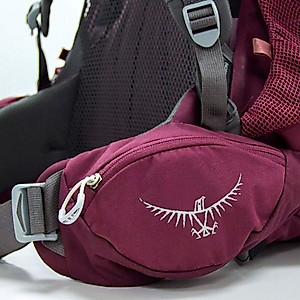 Osprey Renn 50 Women's Backpacking Backpack, Aurora Purple