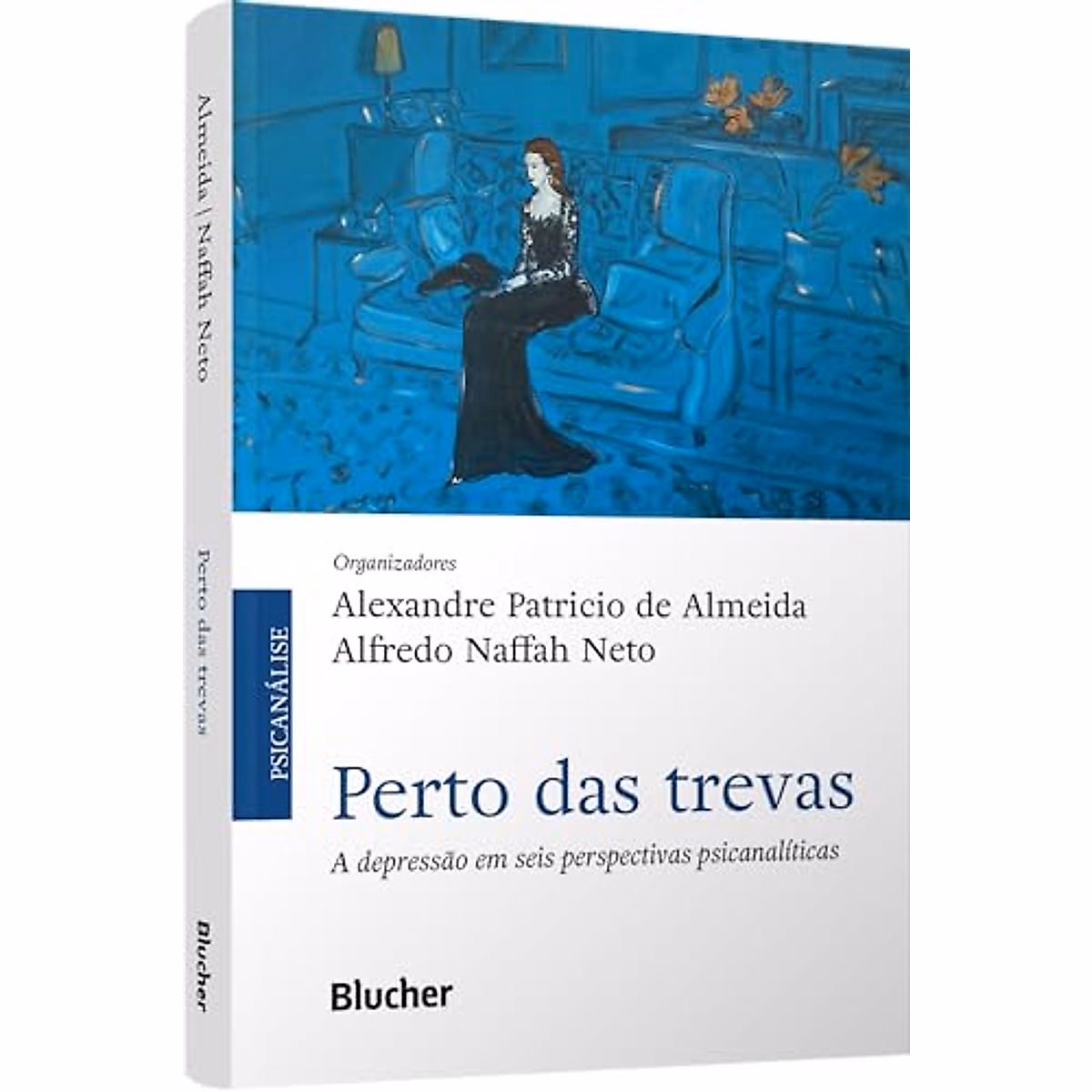 Perto das Trevas: a Depressão em Seis Perspectivas Psicanalíticas