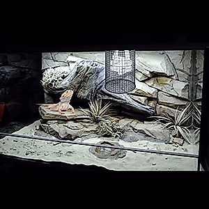 kathson Reptile Lampshade Lizard Heat Lamp Guard Anti-Scald Lamp Mesh Cover Pet Coop Protection Heater Light Bulb Enclosure Cage Protector for Turtles, Lizards, Snakes and Amphibians