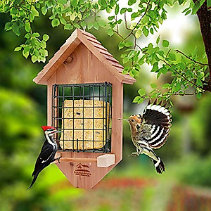 Solution4Patio USA Cedar Tail Prop Suet Bird Feeder with One Perch, Clasp Suet Cage for Squirrel Proof, Suet Cake Holder for Pileated Woodpecker, Downy Woodpecker, Nuthatch, Chickadees, etc.