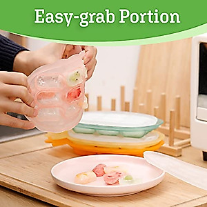 haakaa Silicone Nibble Freezer Tray -Breast Milk Teething Popsicle Mold | Baby Fruit Food Feeder Teether Tray | Ice Cube Maker Serving Plate Stackable Snack Storage Tray - Baby |Toddler- BPA Free