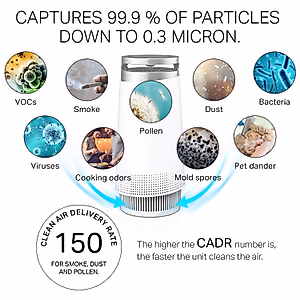 THINK BEST Air Purifier for Home, Smokers, Allergies, Pet Hair, True HEPA Filter, Ultra-Quiet Technology, 4-Stage Filtration. Odor, Dust, Smoke, Mold Remover with Ionizer, Multispeed fan, Night Mode