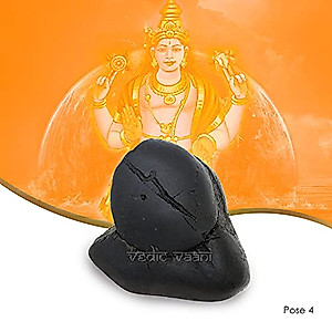 Vedic Vaani Natural Salagram Saligramam Stone Matsya Avatar Shaligram Shila Black (One Piece)
