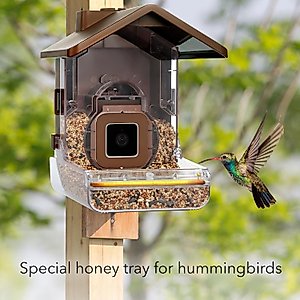 Wasserstein Bird Feeder Camera Case Compatible with Blink, Wyze, and Ring Camera for Bird Watching with Your Security Cam - (Camera NOT Included)
