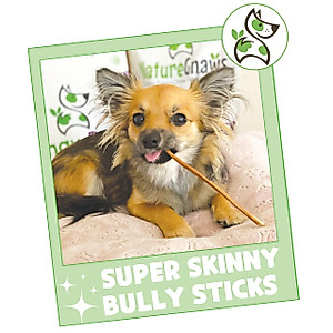 Nature Gnaws Super Skinny Bully Sticks for Small Dogs 5-6" (15 Count) - Long Lasting for Light Chewers and Puppies - Extra Thin Natural Beef Dog Chew Treats