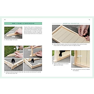 Storey's Guide to Keeping Honey Bees, 2nd Edition: Honey Production, Pollination, Health (Storey’s Guide to Raising)