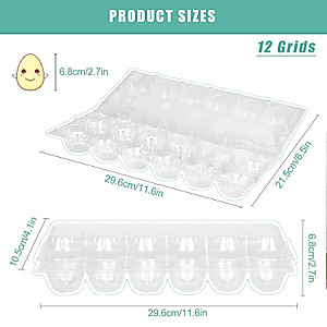 SINLUCESCE 60 Packs Egg Cartons Cheap Bulk，Plastic Egg Carton for 12 Eggs， Clear Egg Carton 2 * 6 Grids，Perfect for Refrigerator Chicken Farm Markets Commercial Business Market Display, Large