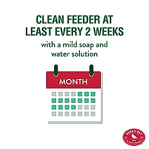 Perky-Pet 784 Mason Jar Wild Bird Feeder, No Size, Blue