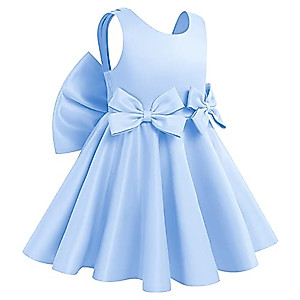 Baby Girl Wedding Outfit - Toddler Girls Party Princess Puffy Tutu Dress Bowknot Special Princess Pageant Christening Baptism Birthday Gowns Flower Girl Dress Light Blue - V Back 12-18 Months