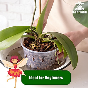 Doter Orchid Pots Variety 12 Packs (5.6 Inch / 6 Inch / 6.8 Inch x 2, 4.3 Inch / 5 Inch x 3), Clear Orchid Planter Pots with Holes for Repotting, Clear Nursery Pots for Orchid Repotting Kit