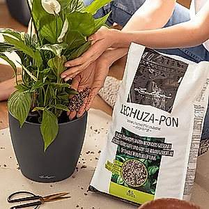 Lechuza 19561 PON Mineral Plant Substrate Potting Mix for Indoor Gardening, 6 Liter Bag, Grey