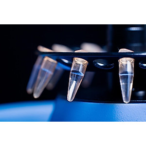 BKMAMLAB 0.2ml Microcentrifuge Tubes 1000 Pieces, EO Sterilized Plastic Small Vials with Caps for Sample Storage without Leakage(1000)