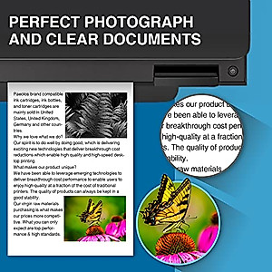 Paeolos Compatible 564 Black Ink Cartridge Replacement for HP 564 564XL Use for HP Photosmart 5510 5520 5525 6510 6520 7525 Officejet 4620 Deskjet 3520 3522 C311a C309a C309g, 6 Packs (6 Black)