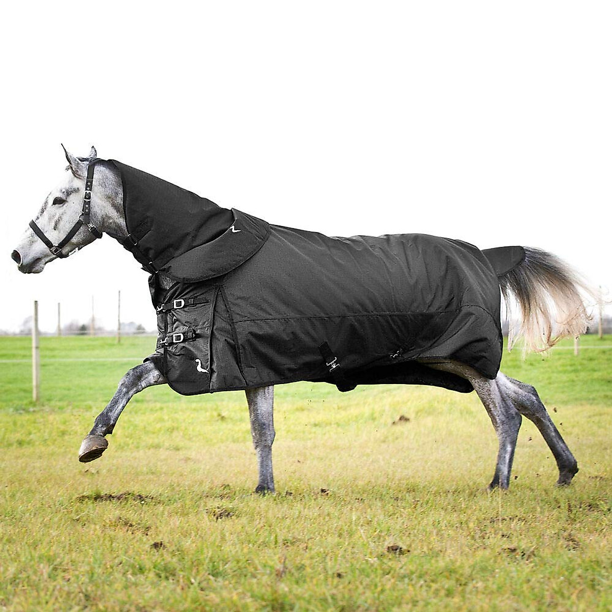 HORZE Nevada Medium Weight 1200D Waterproof Horse Turnout Blanket (200g Fill) - Black - 75 in