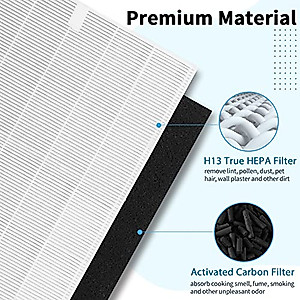 115115 Filter A Replacement for Win-ix Plasma-Wave Air Purifier C535 5300 5300-2 6300 6300-2 5000 9000 C909 AM90, 2 Pc H13 True HEPA Filter and 8 Pc Carbon Pre-filter