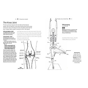 Yoga Anatomy Coloring Book: A Visual Guide to Form, Function, and Movement - An Educational Anatomy Coloring Book for Medical Students, Yoga ... & Adults (Volume 1) (Anatomy Coloring Books)