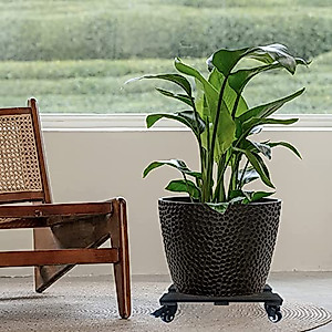 CASIMR Plant Caddy with Wheels,240lb Capacity Heavy Duty Wood-Plastic Plant Stand, Square Indoor Outdoor Flower Pot Rack, Rolling Dolly Holder Trolley Casters Tray Coaster, 2 Pack 14 Inch, Charcoal