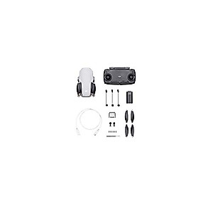 DJI Mavic Mini - Drone FlyCam Quadcopter UAV with 2.7K Camera 3-Axis Gimbal GPS 30min Flight Time, less than 0.55lbs, Gray