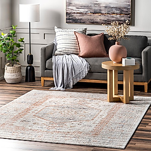 nuLOOM Jacquie Vintage Floral Area Rug - 8x10 Area Rug Transitional Silver/Ivory Rugs for Living Room Bedroom Dining Room Kitchen