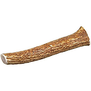 CZ Grain Large Grade A Deer Antlers for Dogs, Naturally Shed Deer Antlers, Organic Deer Antlers, All Natural Deer Antler Chews, Naturally Shed in The USA - Deer Antlers for Dogs (Size: Large)