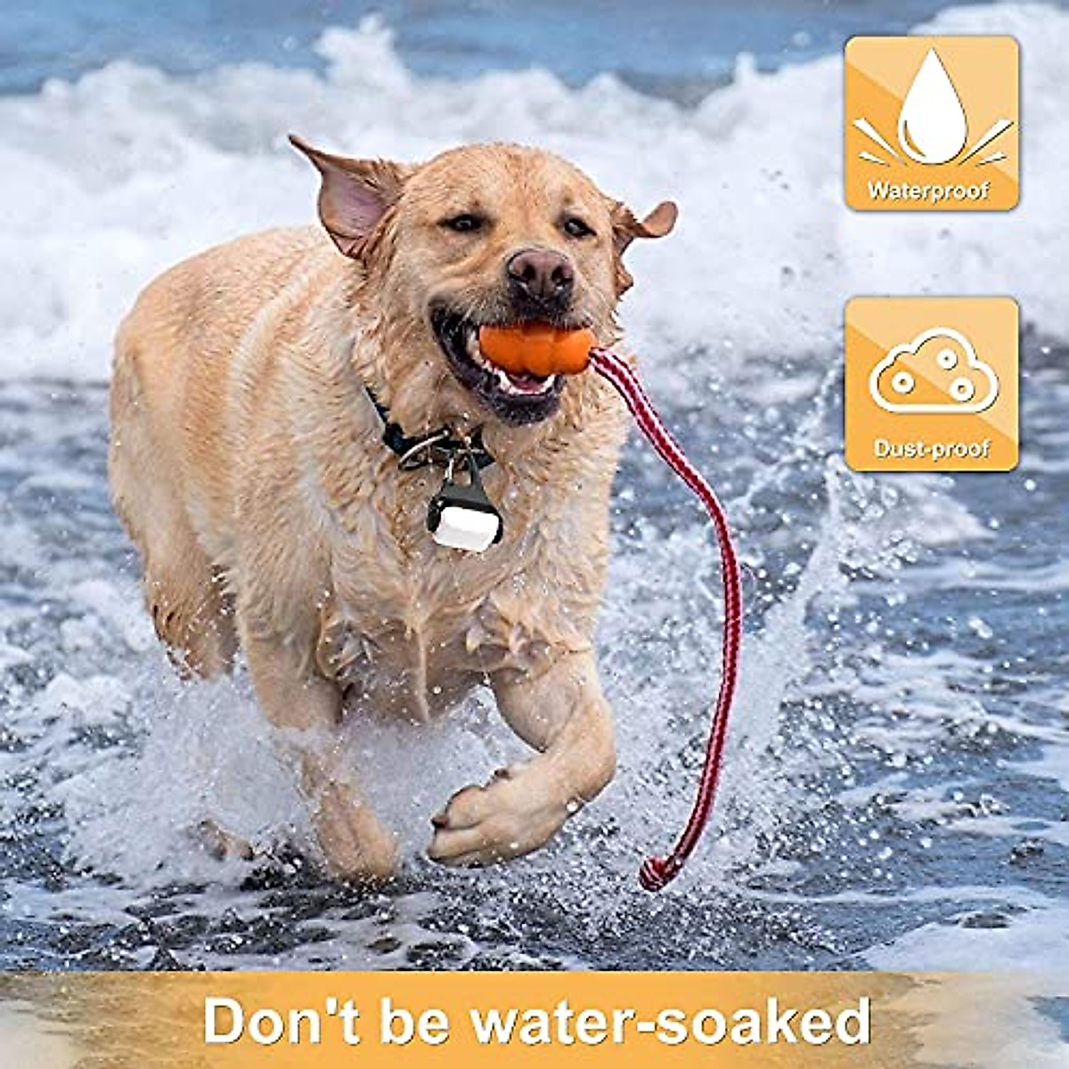 Dog Lights for Night Walking, Clip on USB Rechargeable Dog Collar Light, 3 Light Modes Dog Light, IP65 Waterproof Dog Light, LED Safety for Running, Camping, Climbing, Bike, 2 Pack