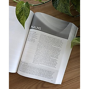 Tyndale NLT Life Recovery Bible (Large Print, Softcover) 2nd Edition - Addiction Bible Tied to 12 Steps of Recovery for Help with Drugs, Alcohol, Personal Struggles - With Meeting Guide