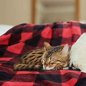 PiccoCasa Pet Dog Blanket, Flannel Fleece Puppy Blanket Plaid Plush Warm Rug Blankets for Small-Medium Dogs Cats Sleeping Mat, 30 x 40 Inches, Scarlet+Black