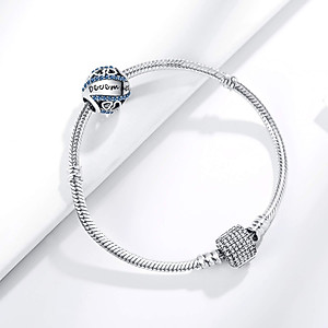 Linorui Birthstone Charms for Charms Bracelet 925 Sterling Silver Bead Openwork Charms Fit Pandora Charms Bracelet, Fit Women Wife Mom Daughter Christmas Birthday Gift