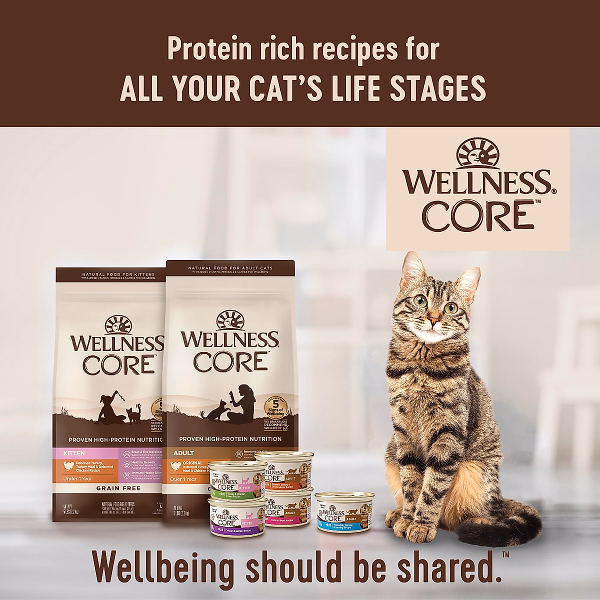 Wellness CORE Pate Adult Wet Cat Food, Natural, Protein-Rich, Grain Free, 3 Ounce, 12 Pack (Turkey & Duck)