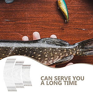 30pcs Lure Line Fishing Lines Fishing Leaders Saltwater Fishing Fishing Lines Metal Fishing Leading Wire Professional Fishing Lines Fish Leaders