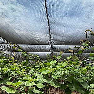 Tronssien 70% Black Shade Cloth, 12 x 6 FT Garden Sun Shade Netting. Durable Mesh Tarp with Grommets, Shading Anti for Garden, Greenhouse, Plants Growing, Outdoor Barbecue,Pergola etc.