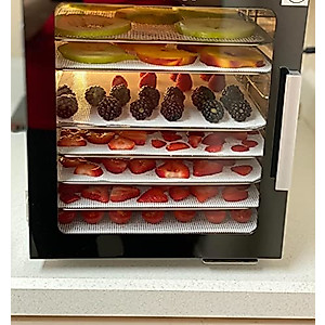 (12 Pack) Silicone Dehydrator Sheets, Dostk Premium Non Stick Silicone Mesh for Fruit Dehydrator , Dehydrator Tray Liner Reusable (14 x 14 inch)