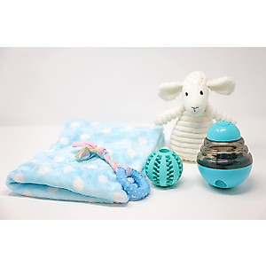 SoSoCute Blue Dog Gift Box - Puppy Chew Toy Set of 5 - Puppy Care Package with Dog Blanket, Squeaky Plush, Rubber Puppy Teether, Teething Ball, and Treat Ball for Small and Medium Dogs