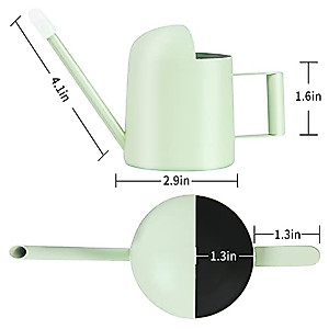 YISSSN Mini Bonsai Watering Can for Indoor Plants Stainless Steel, 10oz/300ml (Green)