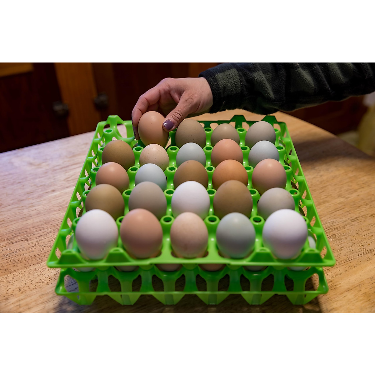 My Favorite Chicken 10 Pack Plastic Egg Flat Carton Tray Holds 30 Eggs Reusable Washable