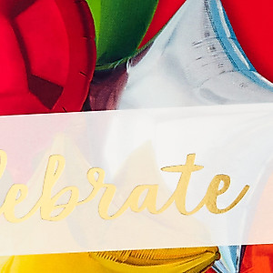 Hallmark Birthday Cards Assortment, 16 Cards with Envelopes (Classic Celebrate)