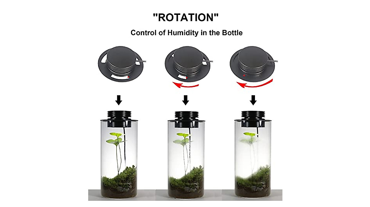 AREPK Desktop Glass Terrarium: Grow Light & Fish Tank