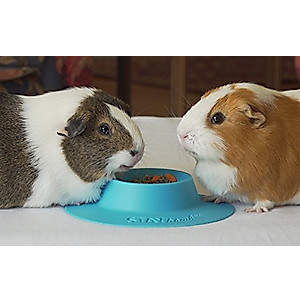 STAYbowl Tip-Proof Ergonomic Pet Bowl for Guinea Pig and Other Small Pets; 1/4-Cup Size; Sky Blue