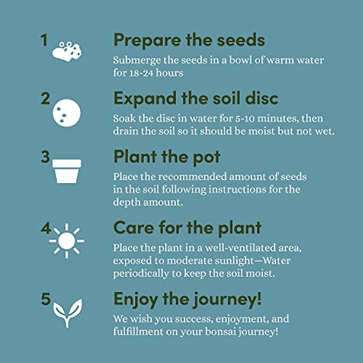 Bonsai Starter Kit - Gardening Gift for Women & Men - Bonsai Tree Growing Garden Crafts Hobby Kits for Adults, Unique DIY Hobbies for Plant Lovers - Unusual Christmas Gifts Ideas, or Gardener Mother