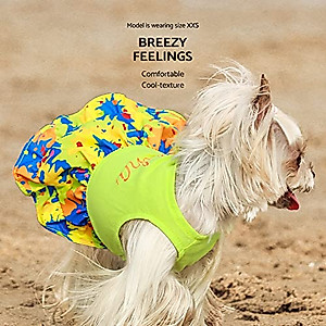 Fitwarm Dog Hawaiian Dress, Summer Dog Clothes for Small Dogs Girl, Pet Beach Luau Outfit, Cat Costume, Neon Yellow, XS