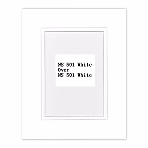 Pack of 10 16x20 White/White Double Mats Mattes with White Core Bevel Cut for 11x14 Photo + Backing + Bags