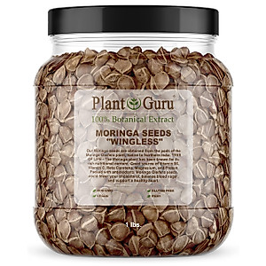 Moringa Seeds Wingless 1 lb. Wide Mouth JAR - PKM1 Variety - Edible Snacking - Planting - Moringa Oleifera - Malunggay - Semillas De Moringa - Drumstick Tree - Non-GMO - 1600 to 2000 Seeds