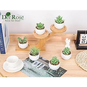 Der Rose 6 Pack Fake Plants Small Realistic Succulents Plants Artificial for Home Room Decor Indoor