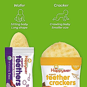 Happy Baby Organics Teether, Blueberry & Purple Carrot, 12 Count (Pack of 6)