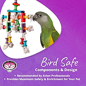 Super Bird Creations SB468 Dancing Spools Bird Toy, Medium Bird Size, 13" x 8" x 2"